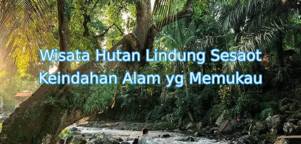 Keindahan Alam Sesaot, Lombok: Pesona Hutan Lindung yang Memikat – Arka ...